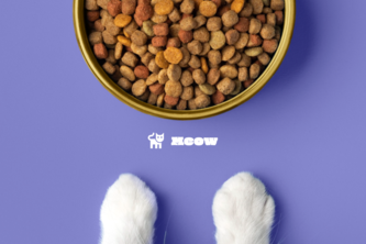 Meow - Gamified Pet Feeding Platform | Devpost