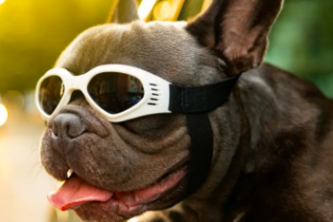 Hackweek Task Devpost