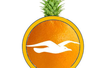 Man Orange | Devpost