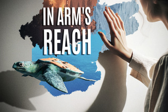 In Arm's Reach | Devpost