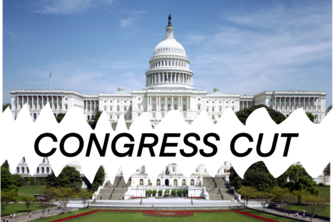 The Congress Cut | Devpost