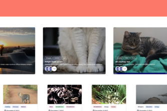 [CodingBears] BigAtHeart | Devpost