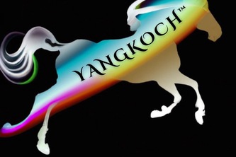 YangKoch AWS | Devpost