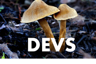 ShroomedDev | Devpost