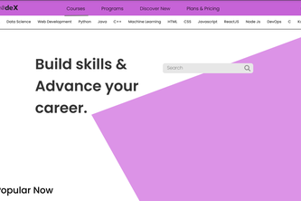 Codex's Cohorts | Devpost