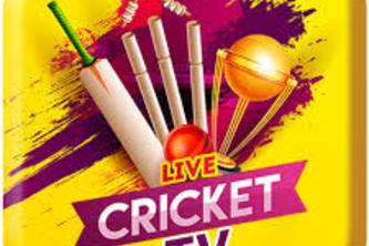 Boost Your Sports App with Advanced Cricket Data API | Devpost