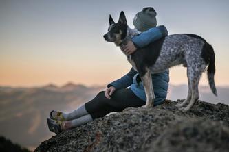 Partner of your loneliness: Top dog breeds for ESA | Devpost