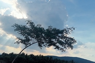 The beauty of nature | Devpost