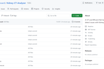 Kidney CT Analyzer | Devpost