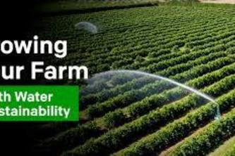 Water Potato Program | Devpost