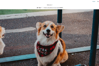 Photo Sharing App | Devpost