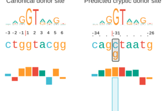 splice-site-strength-quantification | Devpost