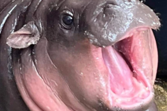 Menk Travel | Devpost