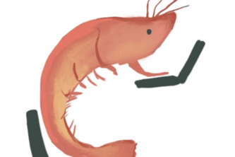 Shrimp | Devpost