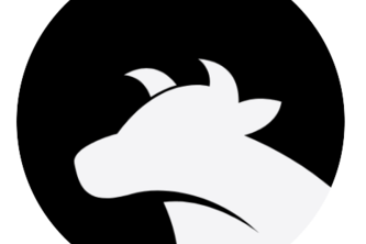 Bull Rider | Devpost