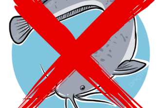 ¬ Catfish | Devpost