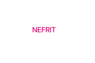 Nefrit-2 | Devpost