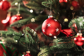 Winter Serenade - The 2024 Holiday Song | Devpost