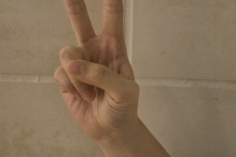 Gesture Guard | Devpost