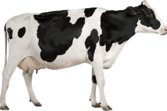 Daily Moo Mood | Devpost