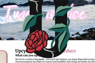 Twice is Nice | Devpost