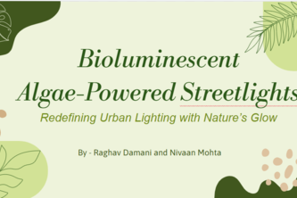Bioluminescent Algae-Powered Streetlights | Devpost