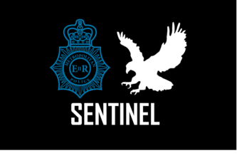 Sentinel | Devpost