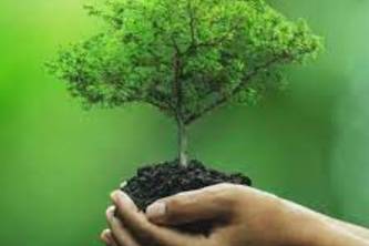 EcoCalc: A Journey Toward Sustainability | Devpost