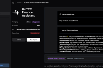 Burrow Finance Assistant | Devpost