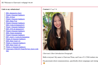 NUS NM2207 Computational Media Literacy (HMTL,CSS,JS) | Devpost