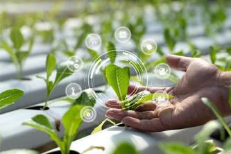 Farming and Resource Management - Introducing PlantPal | Devpost