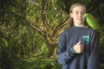 MaraLink (advanced category) | Devpost