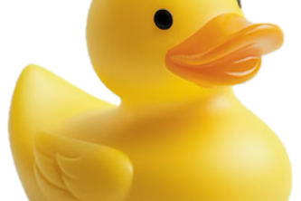 Ducky AI: Duolingo For Deaf Individuals | Devpost