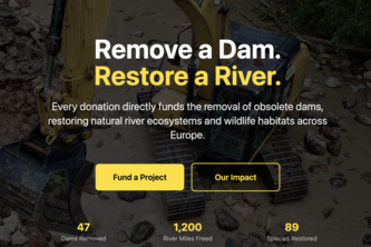 Dam(n) store | Devpost