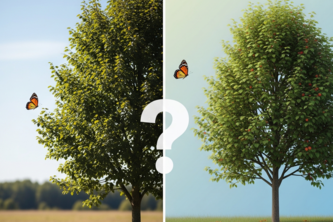 Real world originated media repository and verifier | Devpost