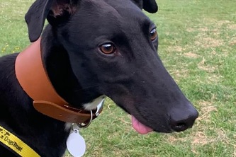 RC World Paywall Speed Building - Submission 2 | Devpost