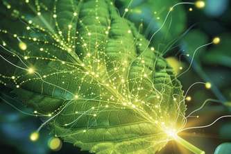 The leaf 'network' | Devpost