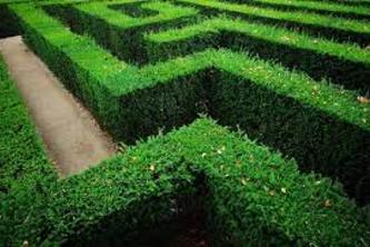 Mindful-Maze | Devpost