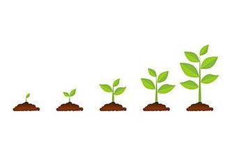 SEMILLERO DIGITAL | Devpost