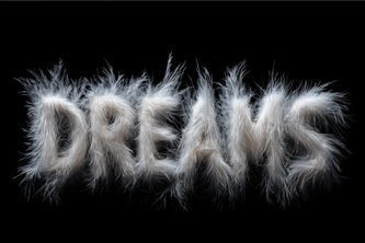 Dreams by Nela Zai Zai Paris | Devpost