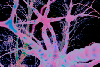 When the Flames Remember They Were Water | Devpost