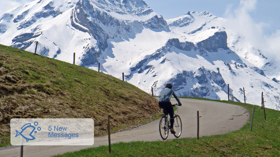 Gulpfish Social Job Connect for Samsung TV | Samsung Free the TV Challenge