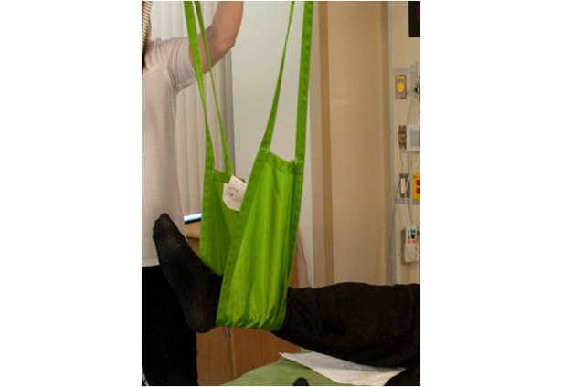 Safe Patient Handling and Mobility: A systemwide standard of care ...