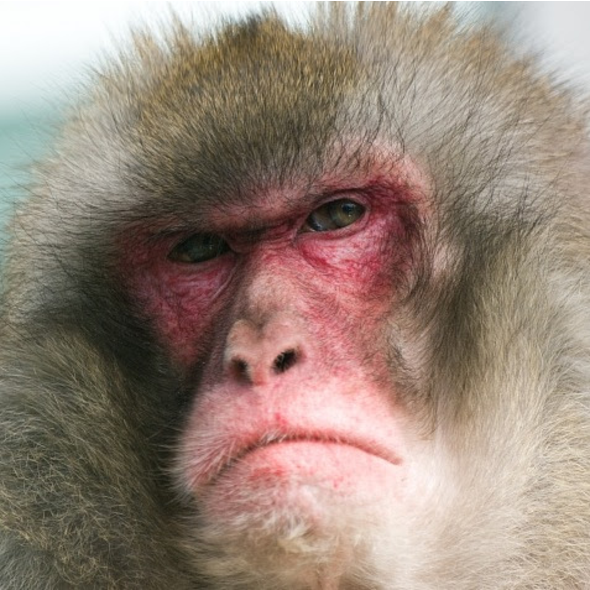 Vitaly Musaev's (hidario) software portfolio | Devpost