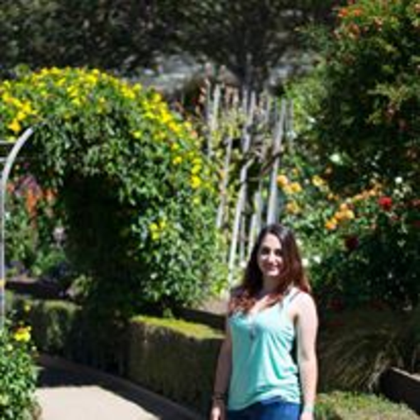 Tanya Al-Rehani's (tanya-al) software portfolio | Devpost