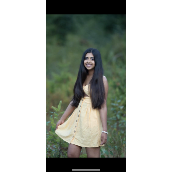 Drishya Nair's (nair-drish) software portfolio | Devpost