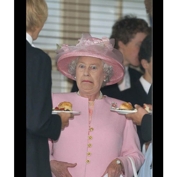 phoebe turner's (phoebe-turner) software portfolio | Devpost