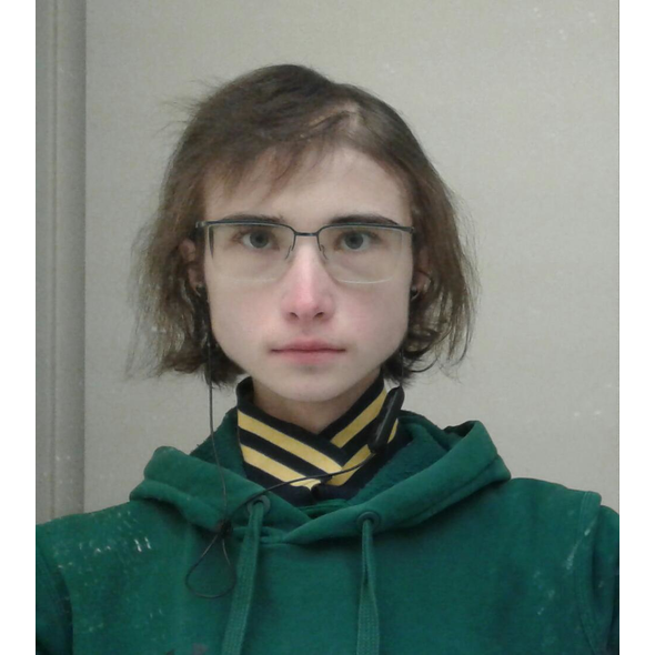 Arina Ivanova's (arina-ivanova) software portfolio | Devpost