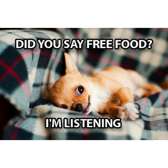 Huimin Lin's (huiminlin1) software portfolio | Devpost