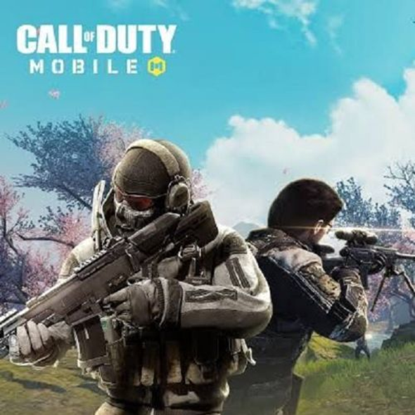 Call of Duty Warzone's (call-of-duty) software portfolio | Devpost